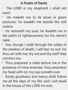 Praying with Psalms 23 and 91 – My True Fear to Faith Story